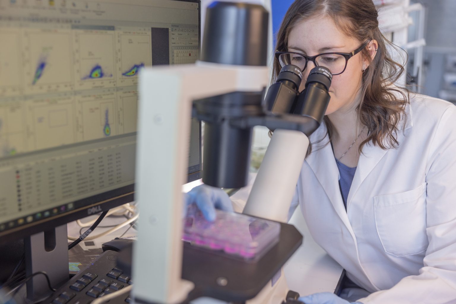 Organoids can help us to understand links between the immune system and ...