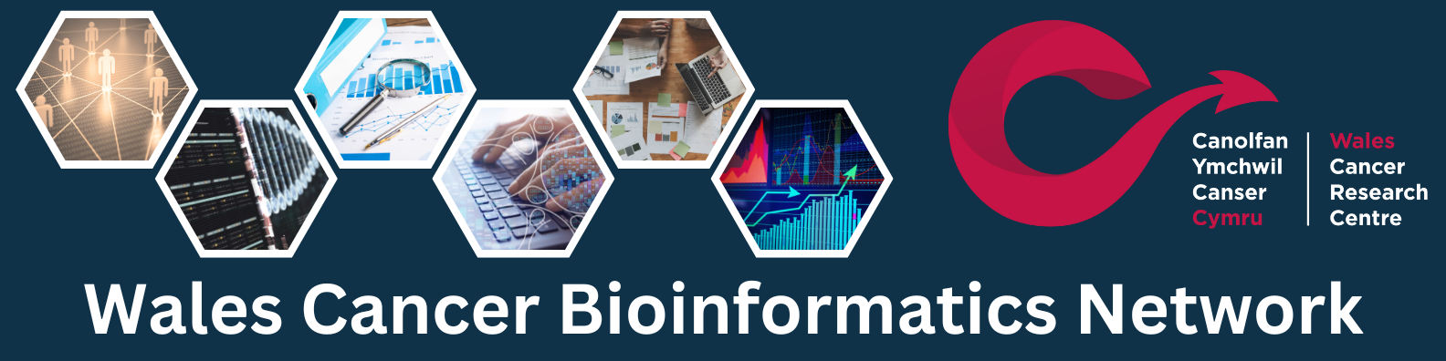 Inaugural meeting of the Wales Cancer Bioinformatics Network – Wales ...