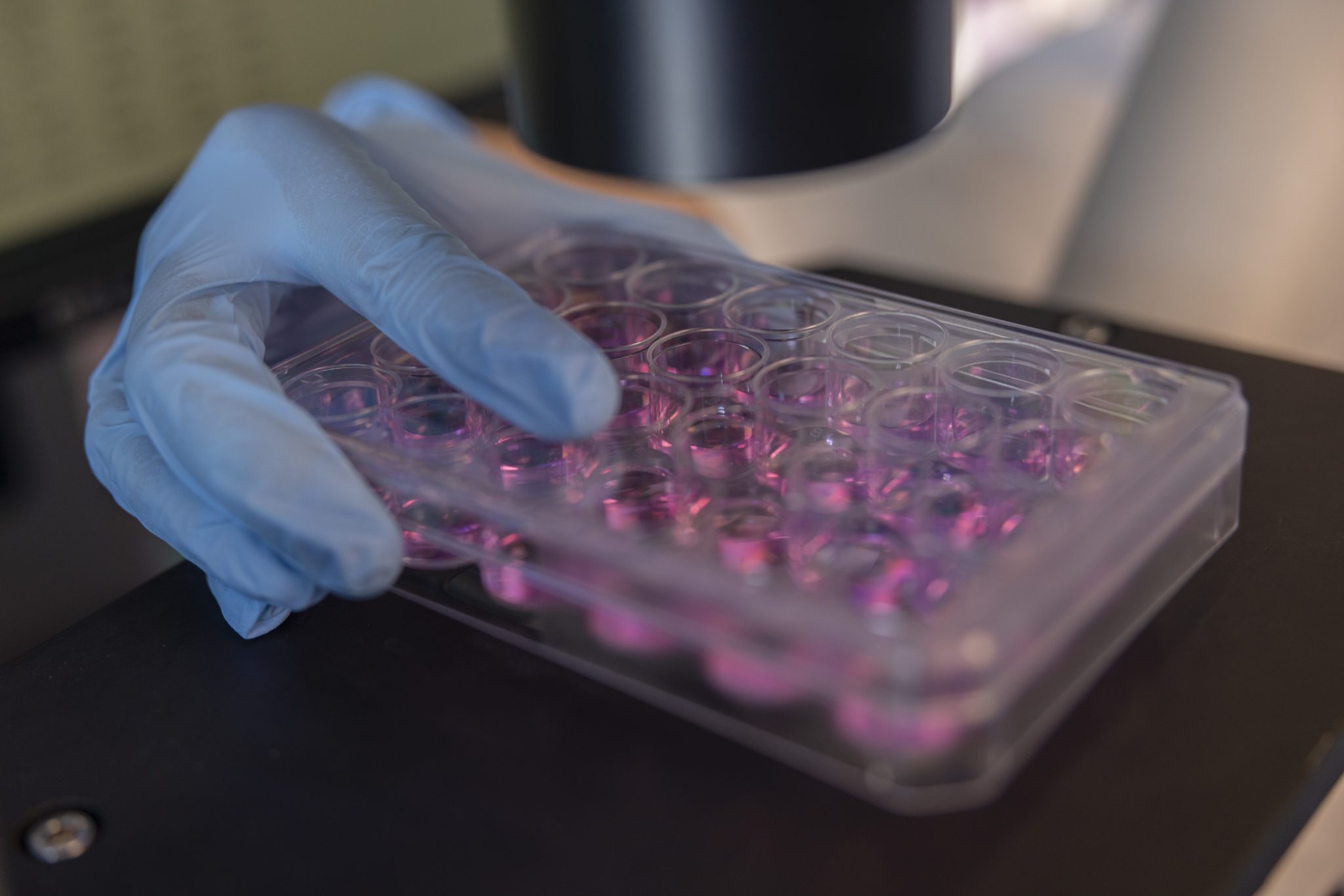 Wales Cancer Research Centre