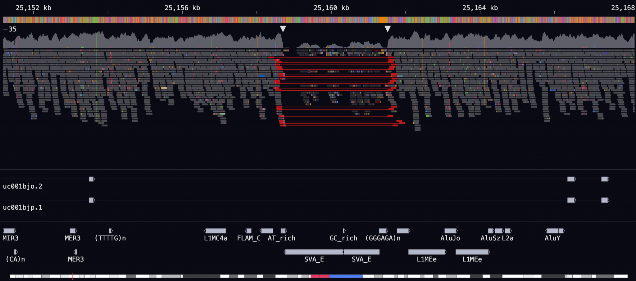 New genomics software advances cancer research – Wales Cancer Research ...